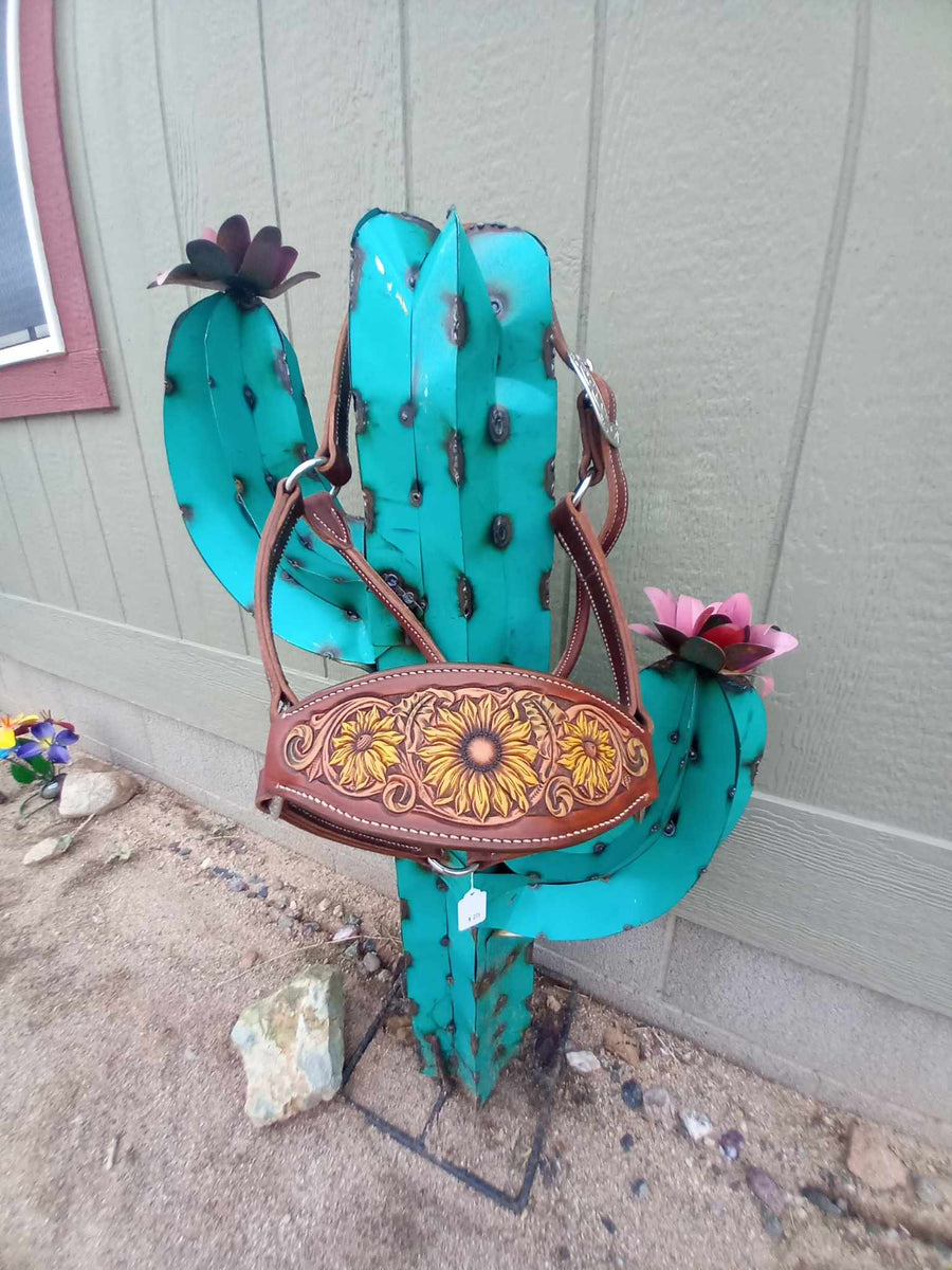 Bold and Beautiful Halter – Martiny Saddle Co.